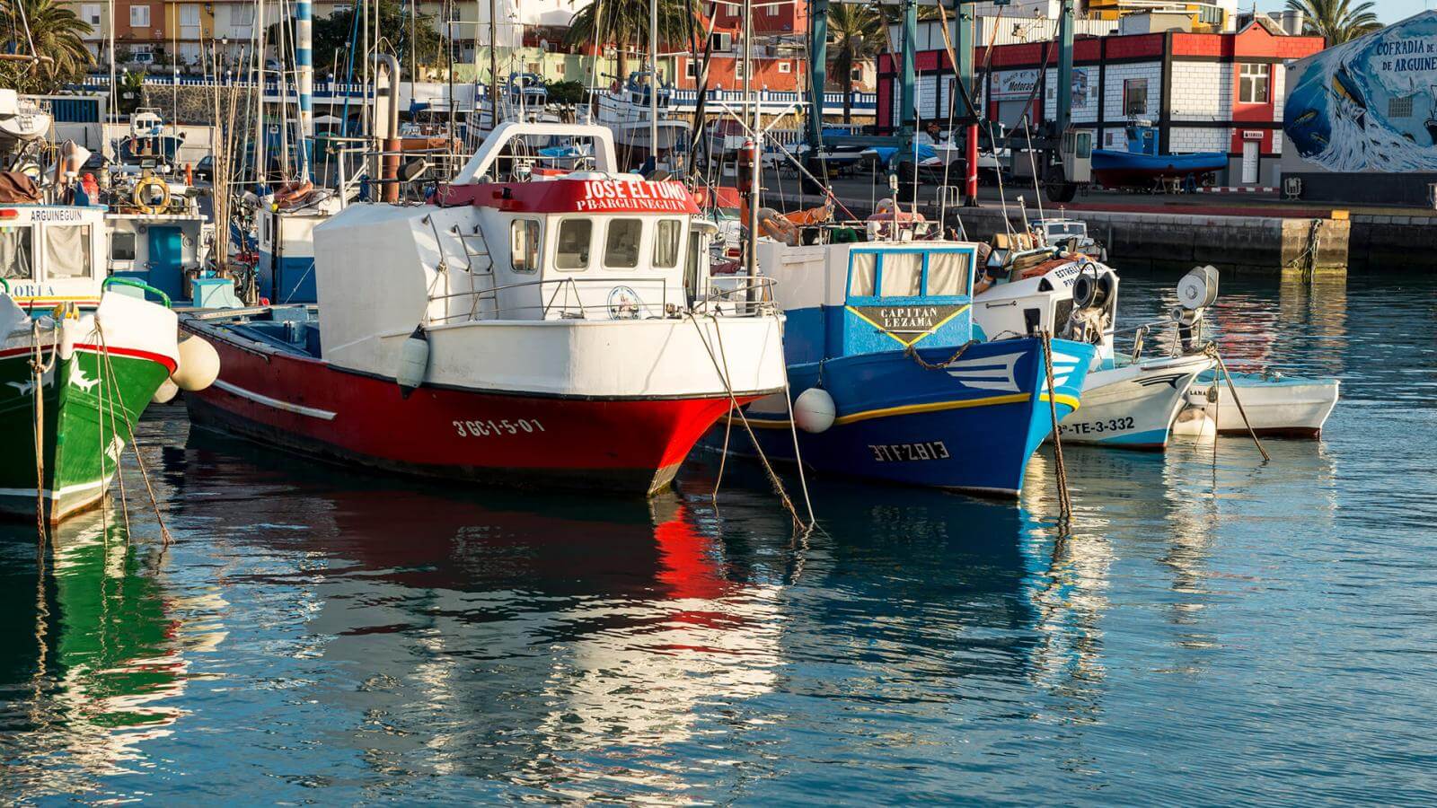 Port Arguineguín | Czesc Wyspy Kanaryjskie
