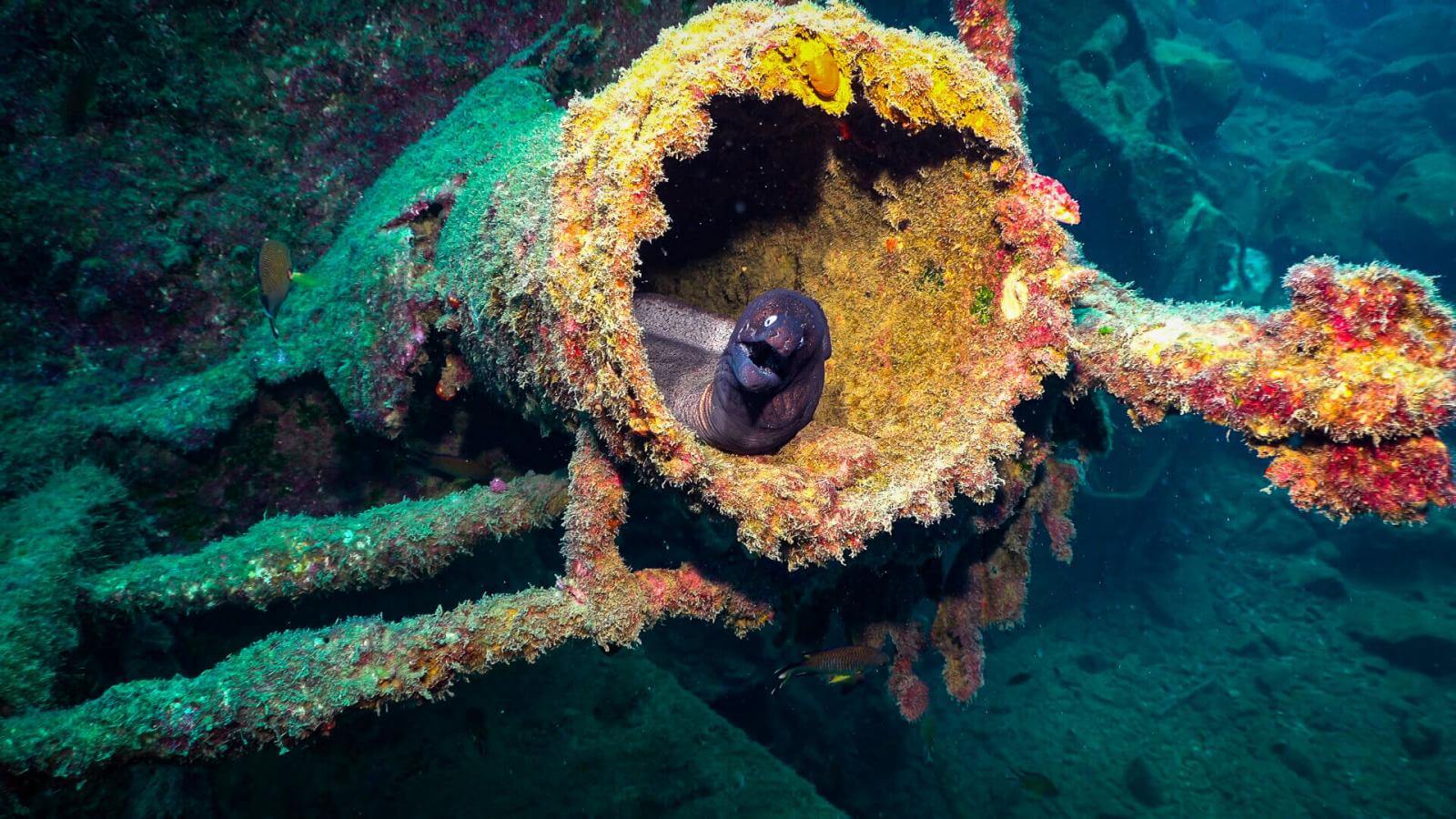 Ifafa (Cabotero) | Czesc Wyspy Kanaryjskie